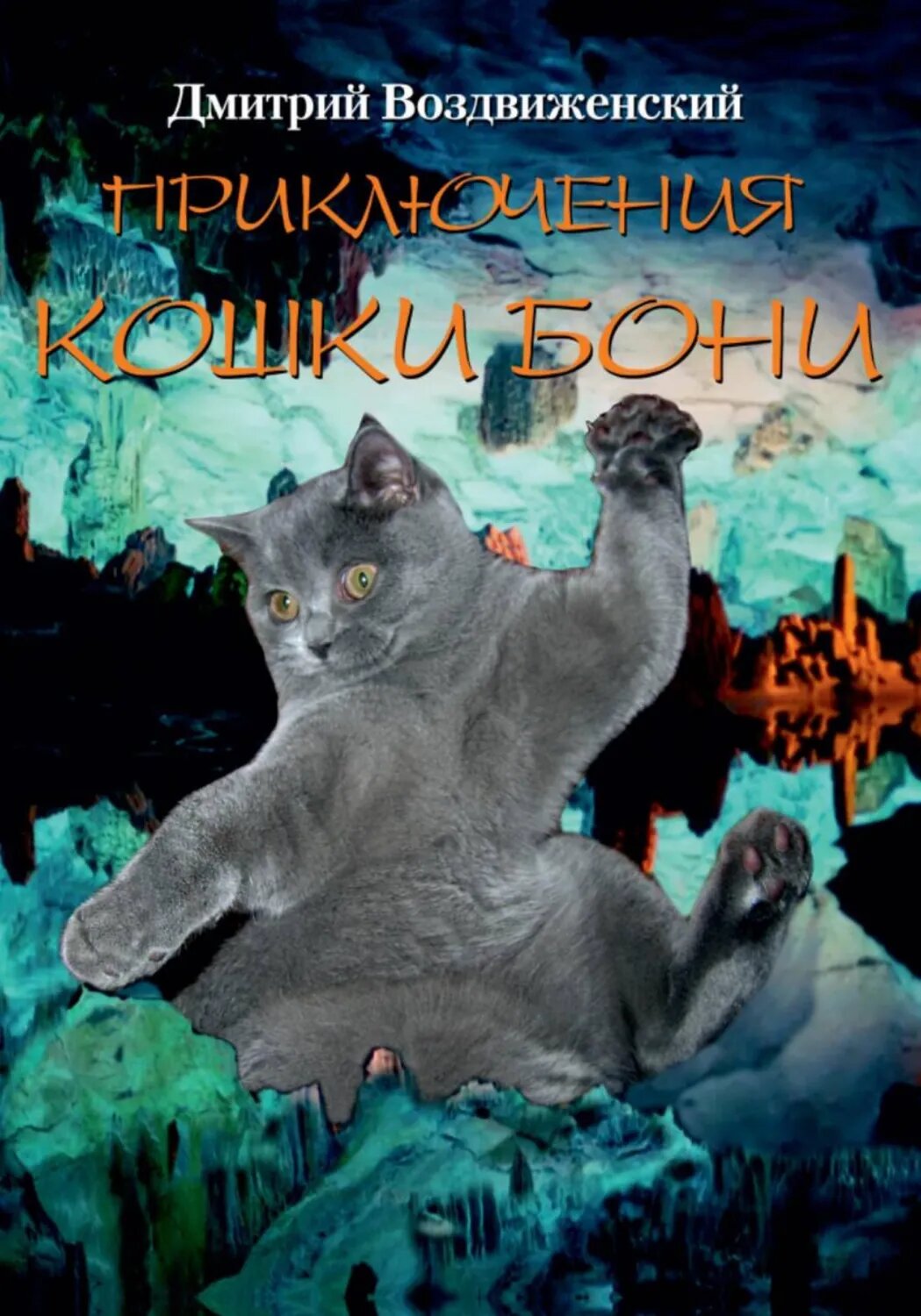Приключения кошки бони [Цифровая книга]