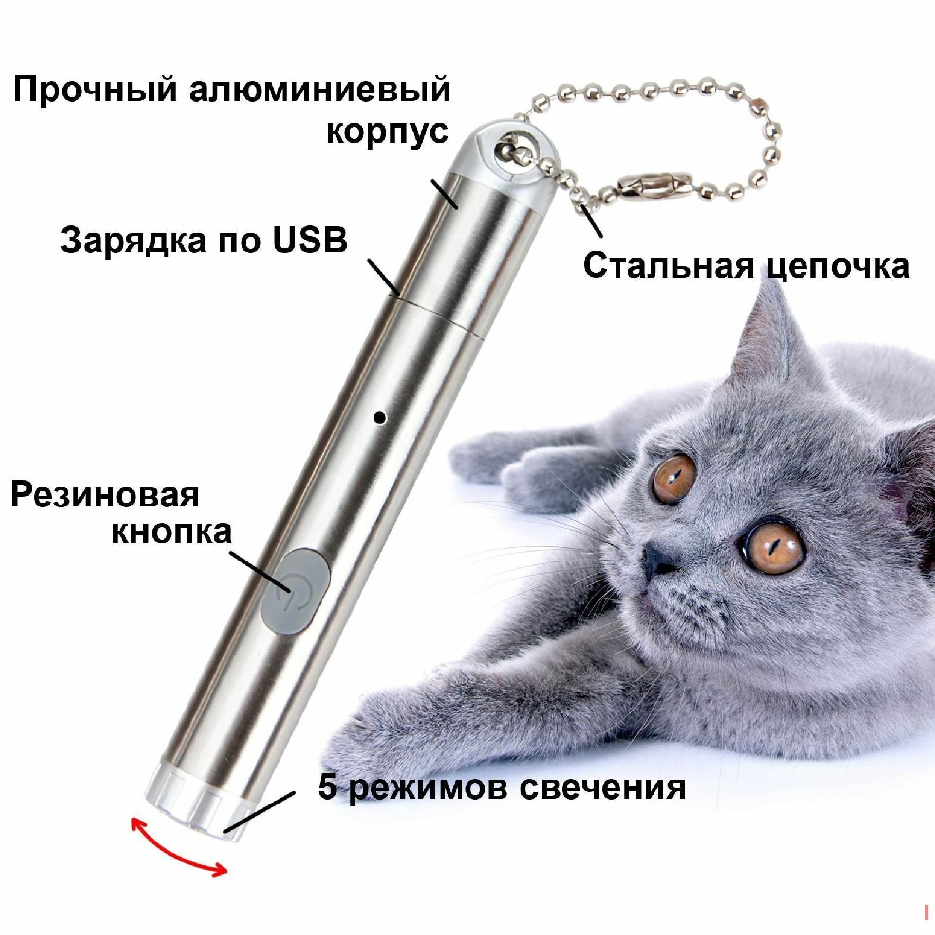Лазерная указка для кошек и собак игрушка лазер, дразнилка, фонарик с USB зарядкой11