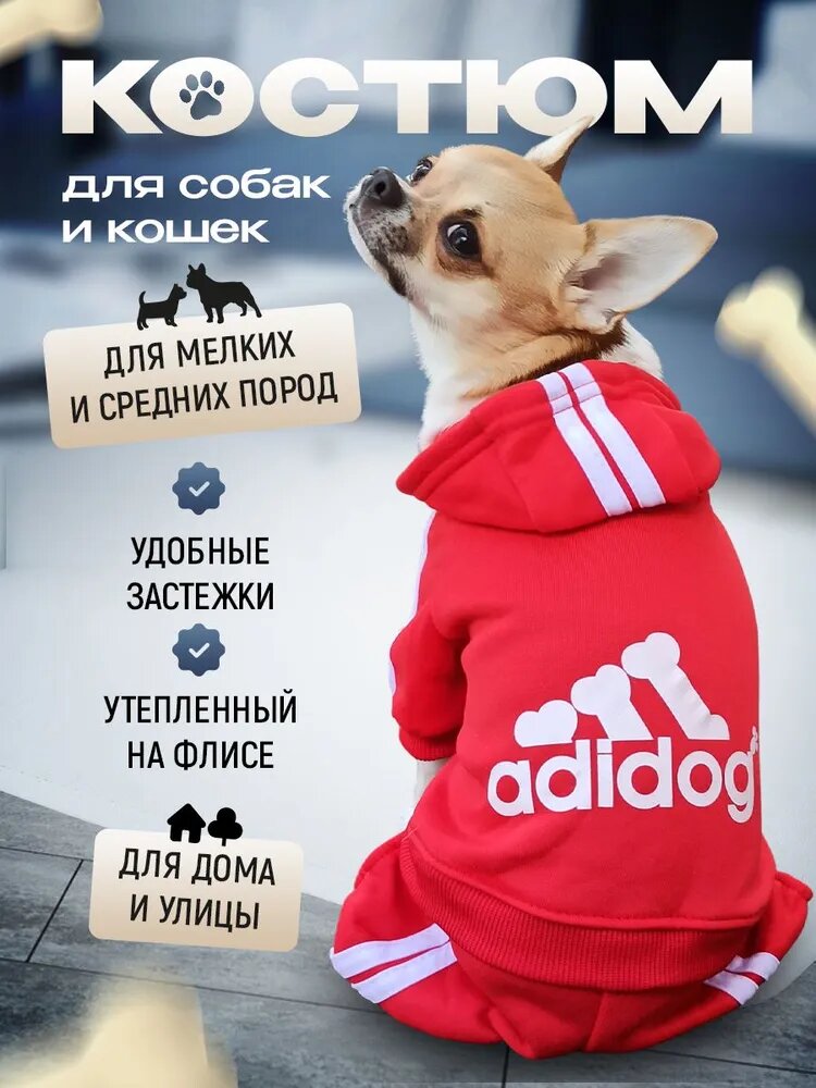Комбинезон для собак мелких пород