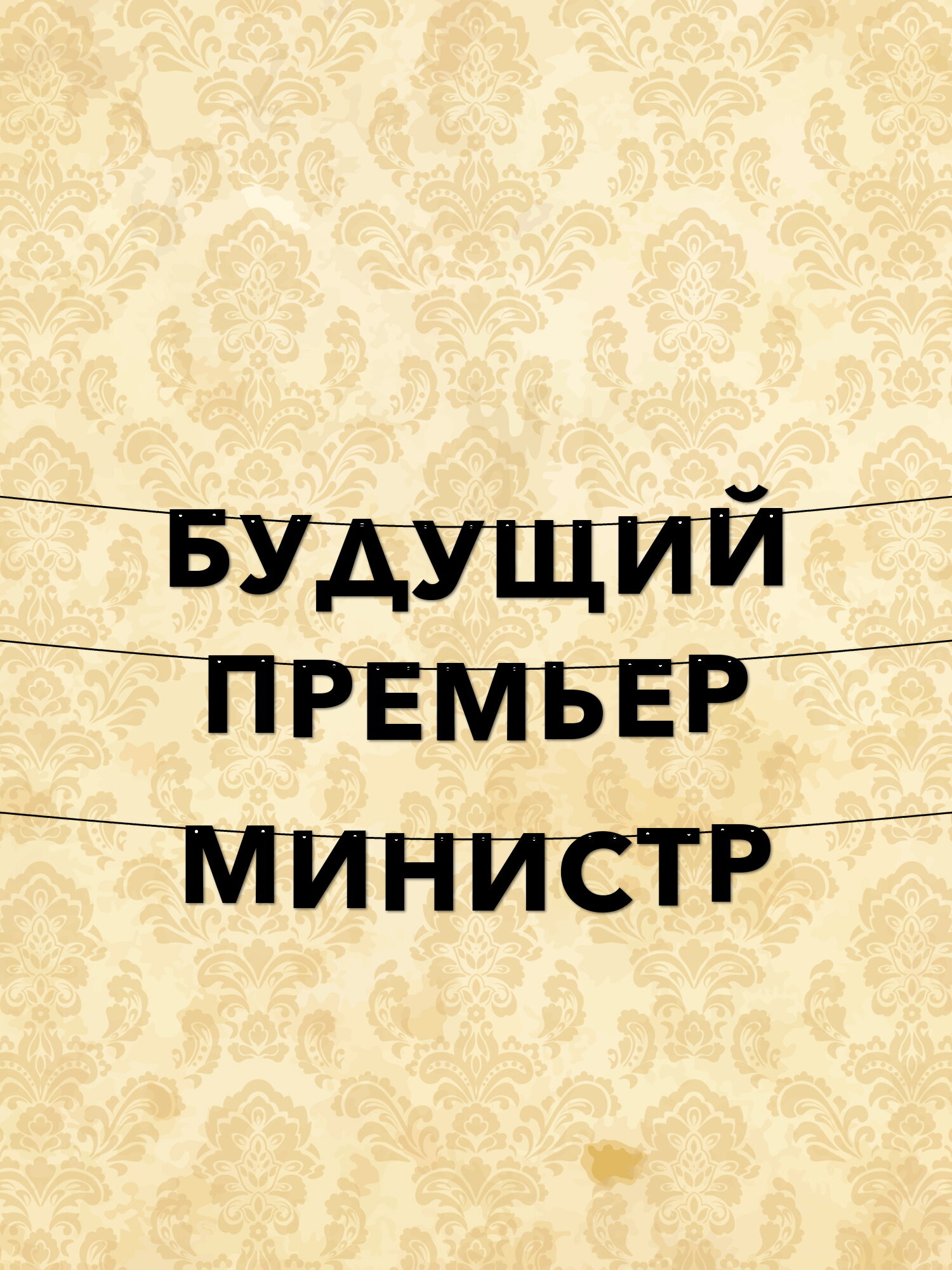 Гирлянда-растяжка для украшения интерьера - 'будущий премьер министр' для декора комнаты, высота букв 10 см, толщина букв 1 мм, долговечный материал