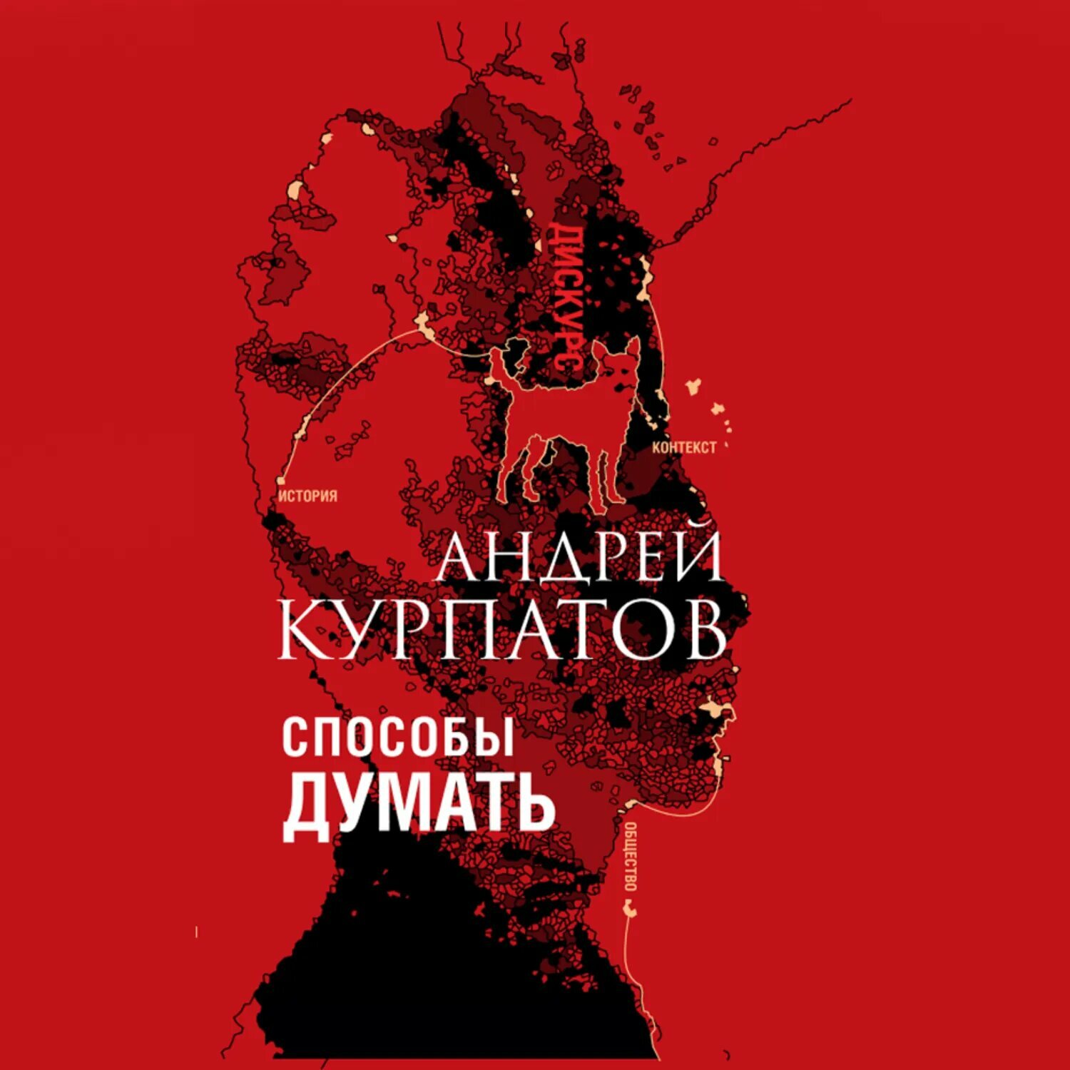 Способы думать. История и общество, дискурс и концепт [Аудиокнига]