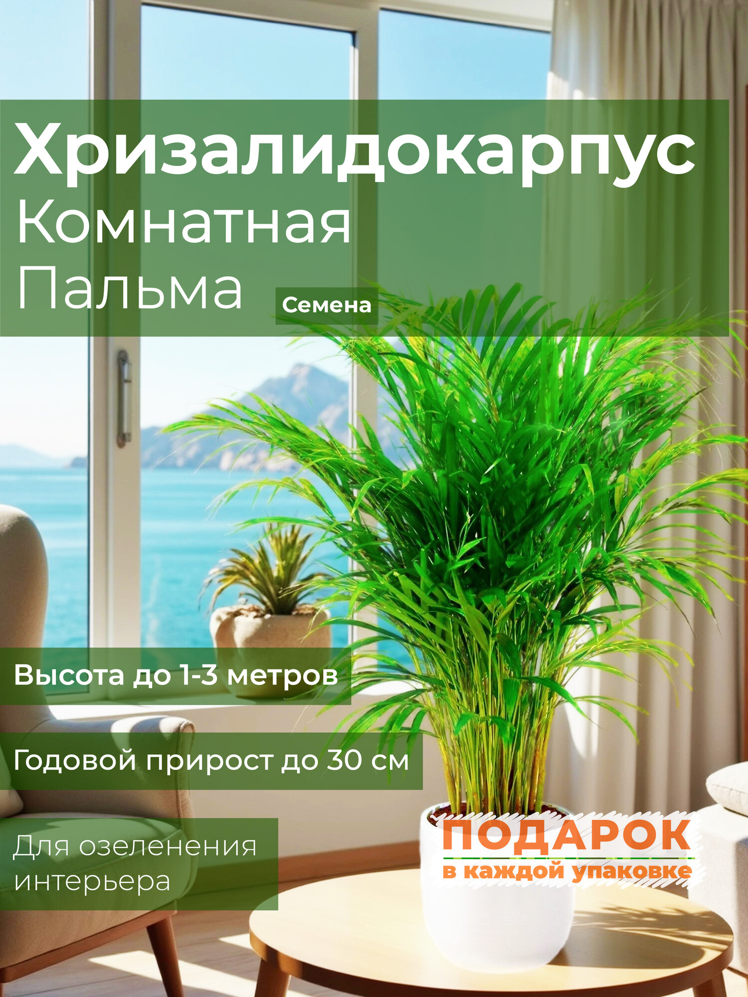 Хризалидокарпус Комнатная Пальма, Семена, 5 шт, семена комнатных растений