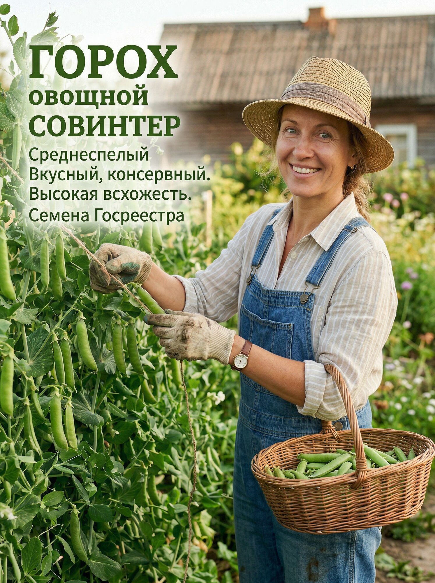 Горох овощной совинтер (10 г) Сорт Госреестра РФ 2016! Среднеспелы, высота 60-80 см, бобы 9-10 см, отличный сладкий вкус, для свежего потребления и консервирования, дружное созревание