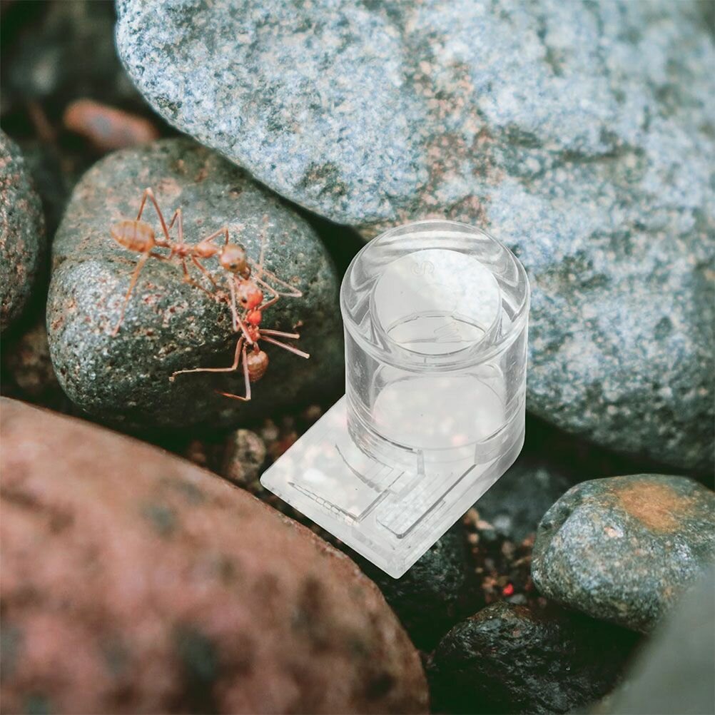 Набор из 2 акриловых прозрачных мисок для воды и корма для рептилий и муравьев