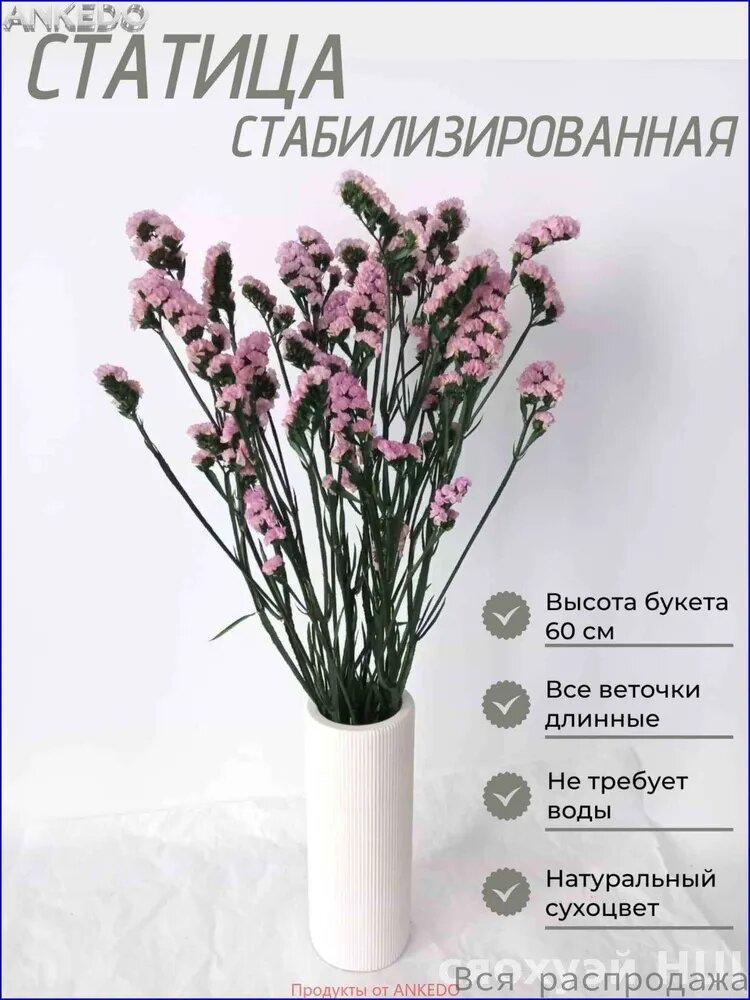 Сухоцветы Статица, 60 см