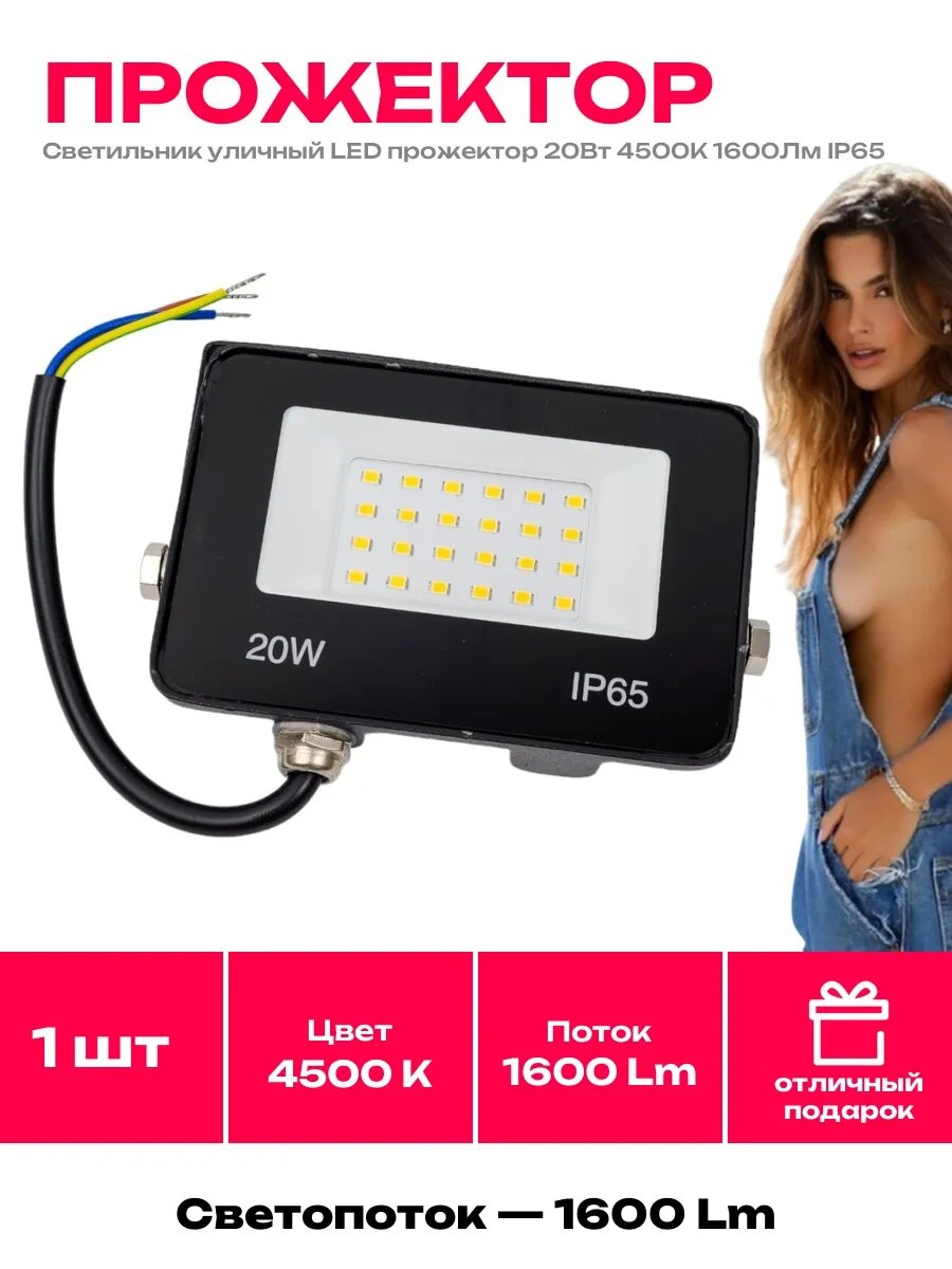 Прожектор LED 20W естественный белый IP65 для фасада 12-36V
