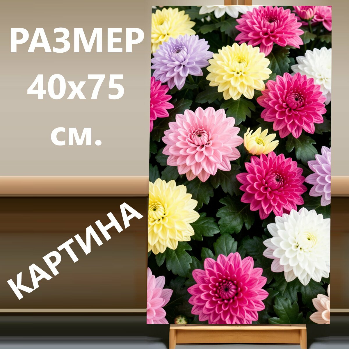Картина на холсте "Многоцветные хризантемы в цветении. Пышные садовые соцветия нежных и ярких оттенков: розовые, белые, лиловые и жёлтые." на подрамнике 75х40 см. для интерьера