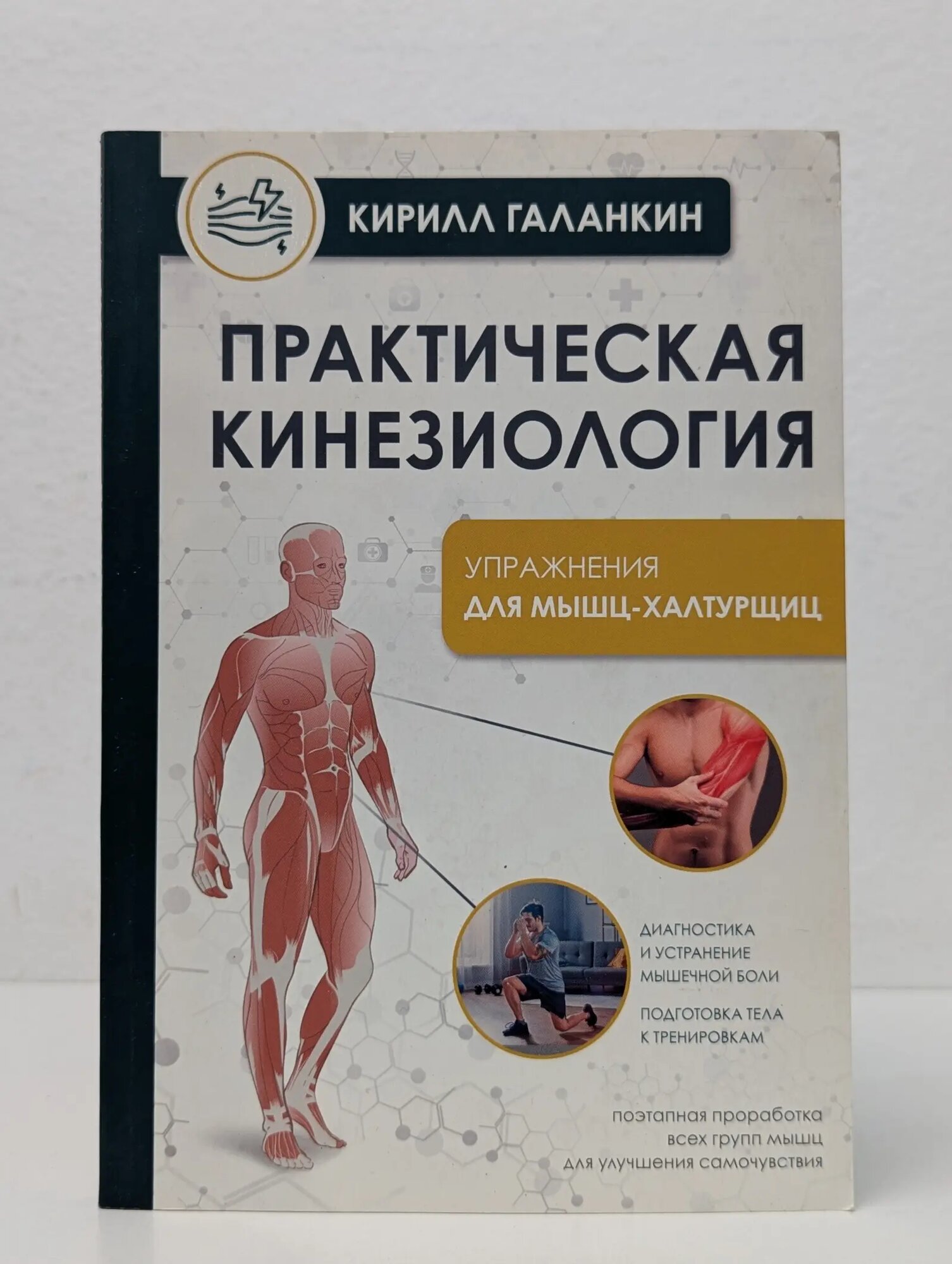 Упражнения для жизни. Практическая кинезиология. Упражнения для мышц-халтурщиц Галанкин Кирилл 2024