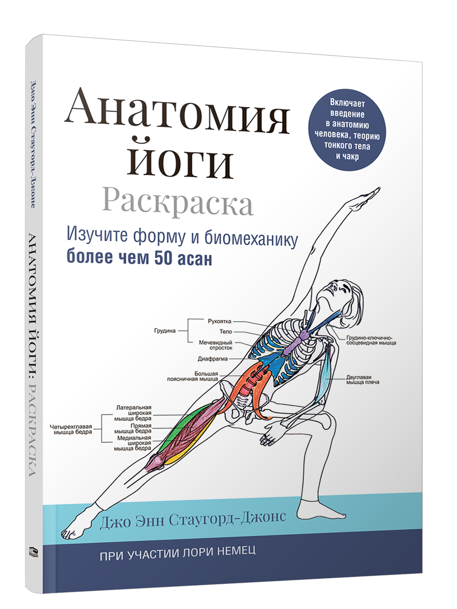 Анатомия йоги: раскраска. Изучите форму и биомеханику более чем 50 асан