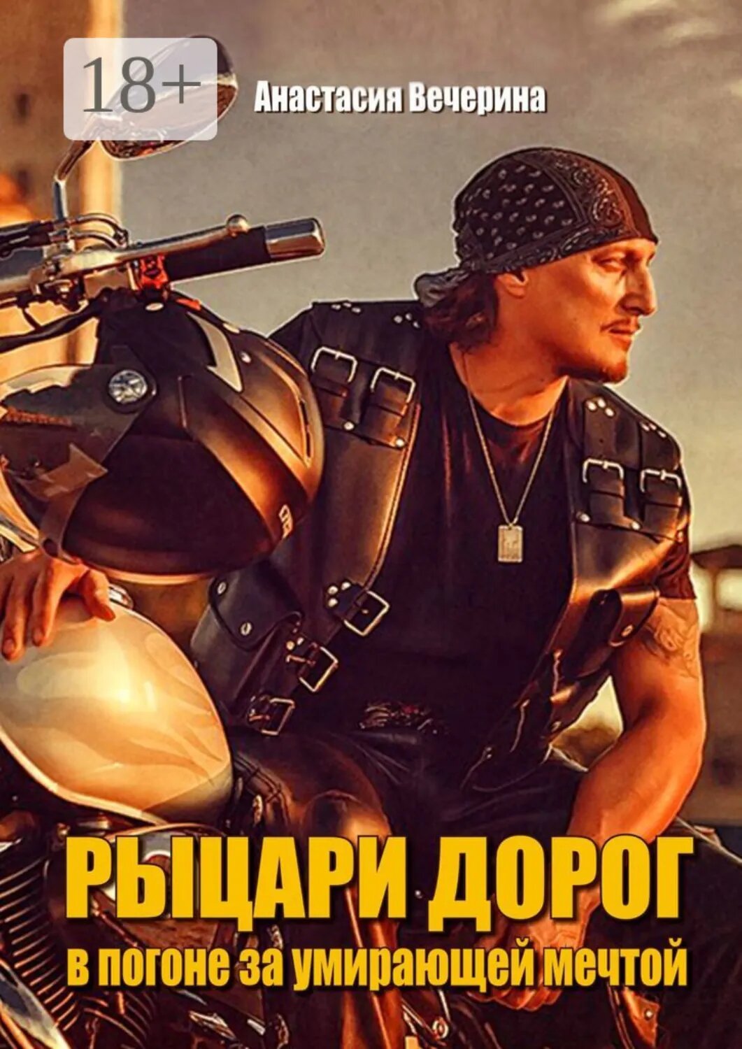 Рыцари дорог. В погоне за умирающей мечтой [Цифровая книга]