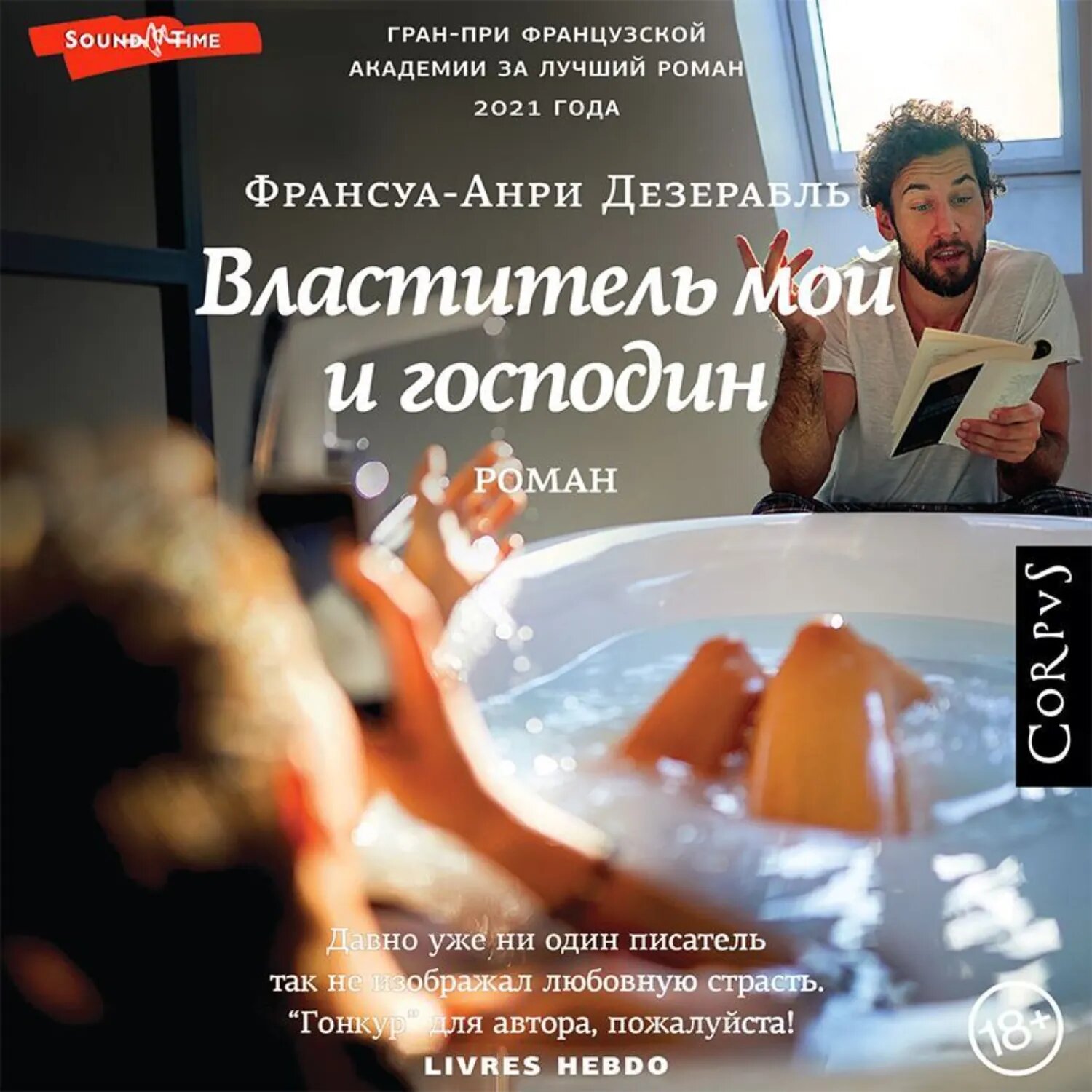 Властитель мой и господин [Аудиокнига]