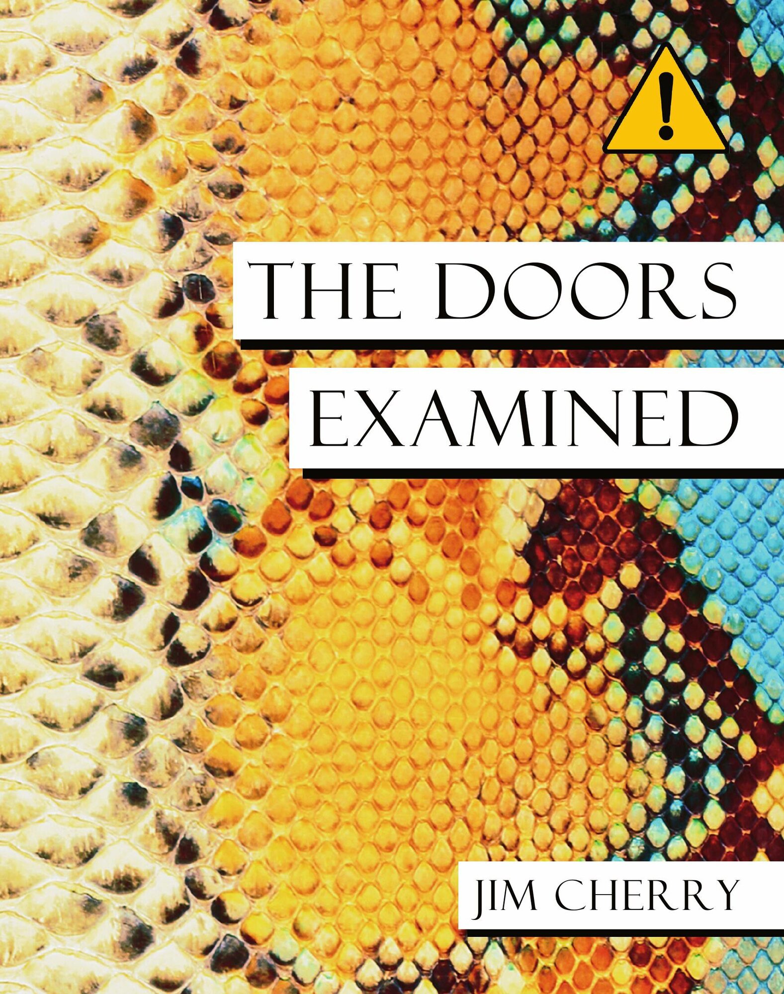 The Doors Examined | Jim Cherry | Bennion Kearny Limited, 2013 | Английский язык — фото 1