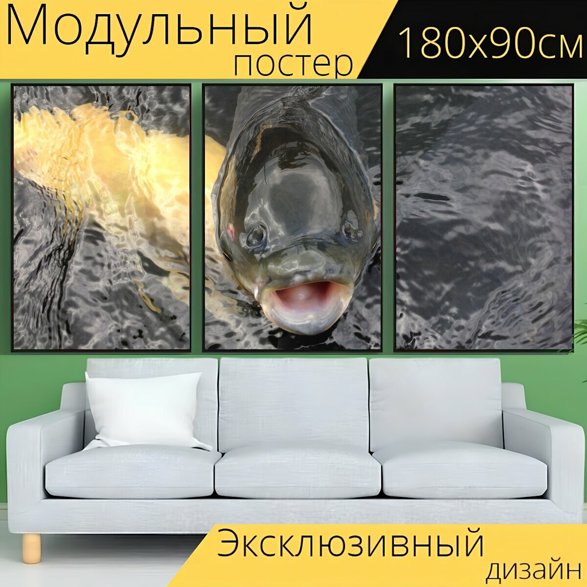 Модульный постер "Рыбы, карп, карась" 180 x 90 см. для интерьера на стену в тубусе