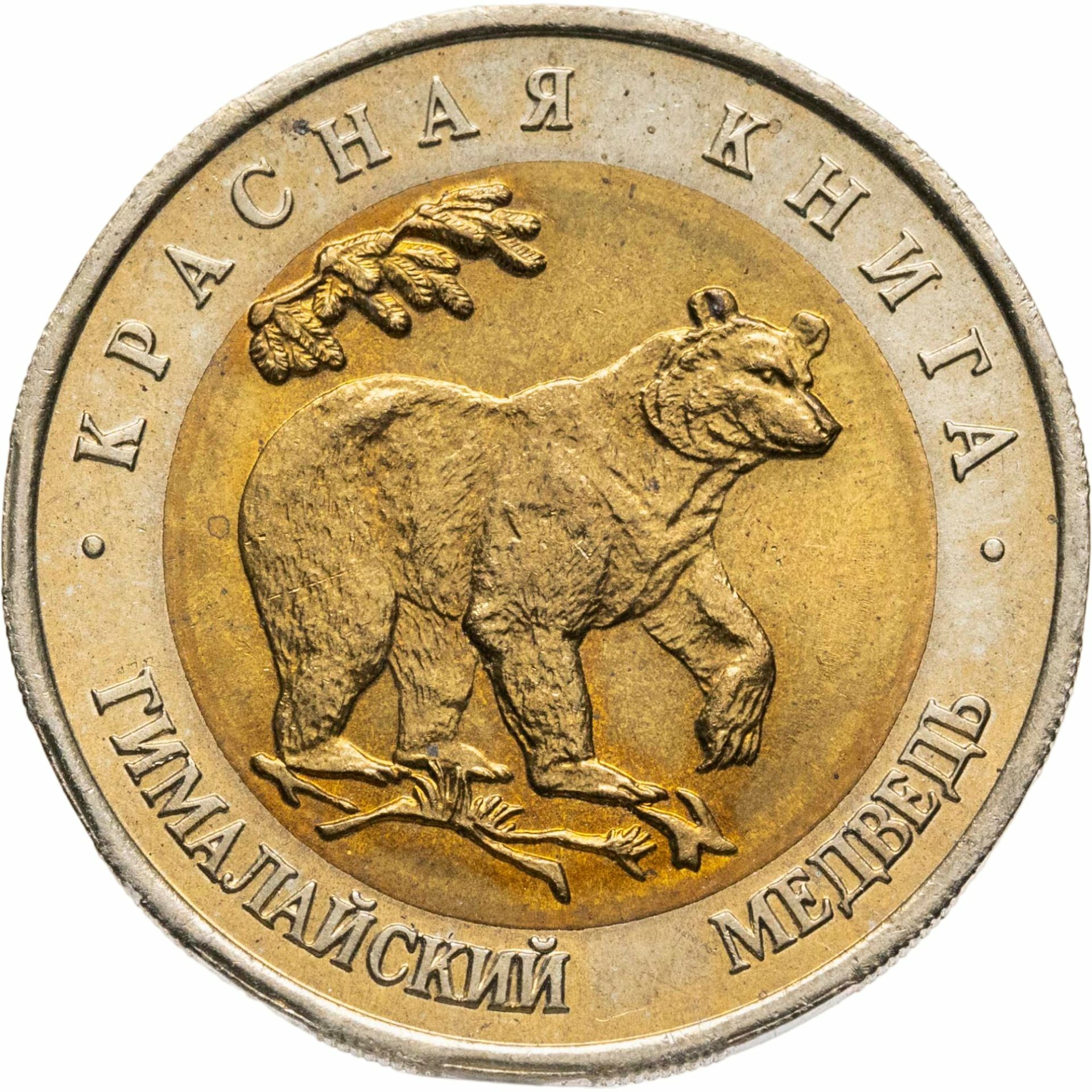 50 рублей 1993 ЛМД гималайский медведь, Биметалл, в сохранности AU-UNC