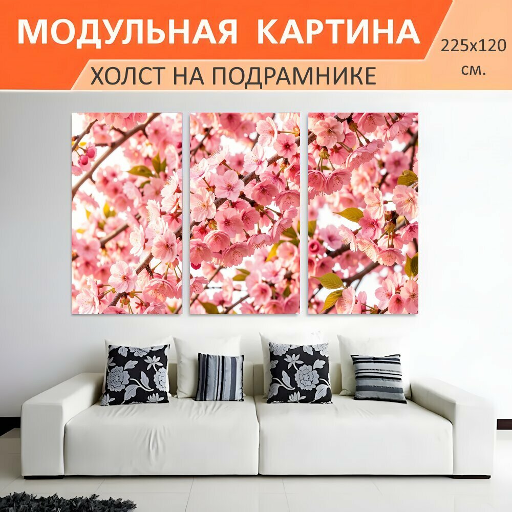 Модульная картина на холсте "Розовые цветущие ветви сакуры. Нежные весенние ветви с густыми лепестками и молодыми листьями." триптих на подрамнике 225х120 см. для интерьера