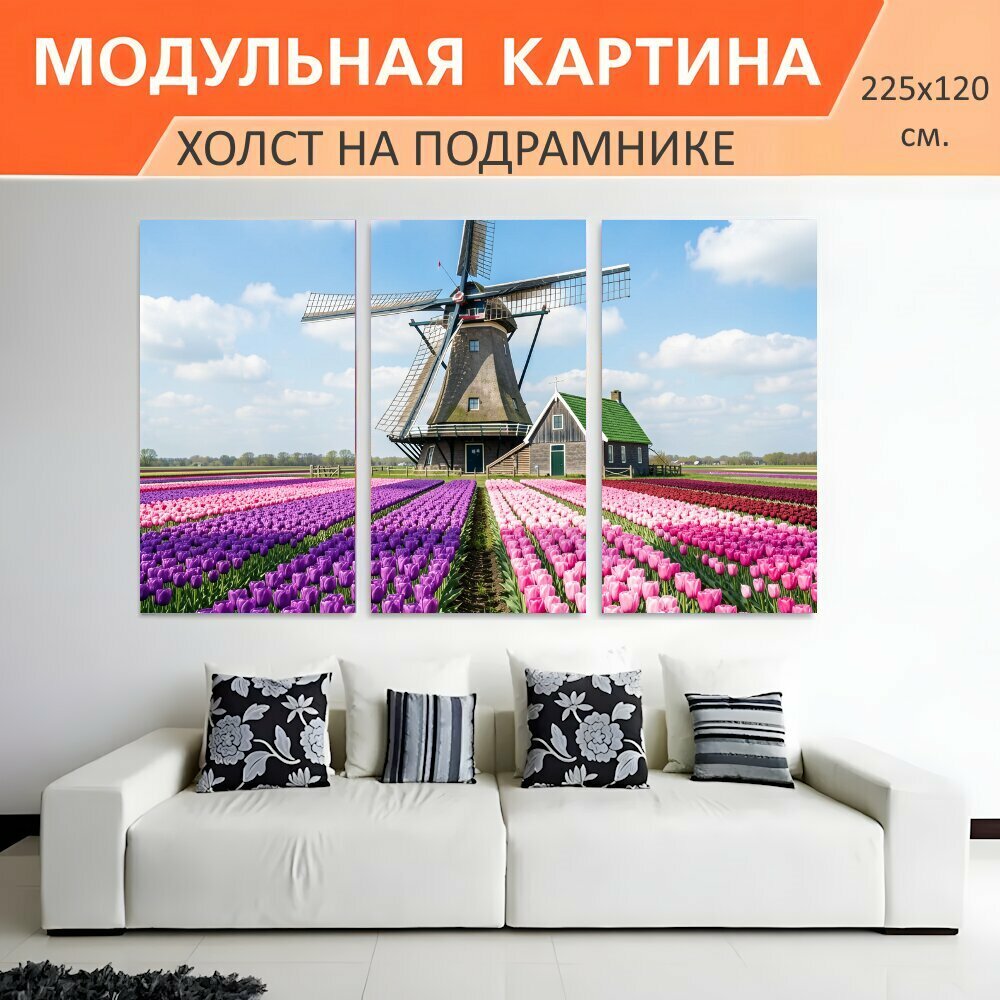 Модульная картина на холсте "Голландская мельница среди тюльпанов. Живописная сельская панорама с ветряной мельницей и аккуратными." триптих на подрамнике 225х120 см. для интерьера