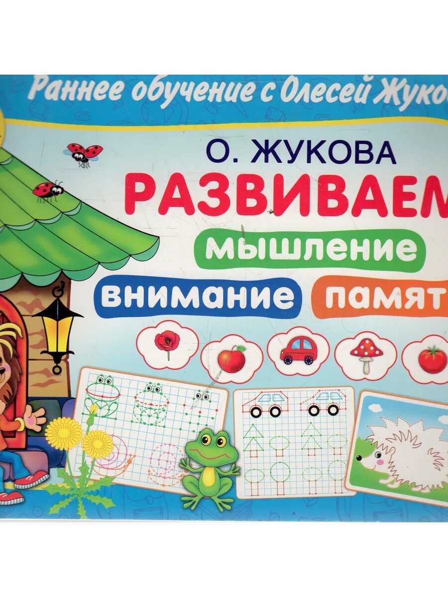 Развиваем мышление, внимание, память
