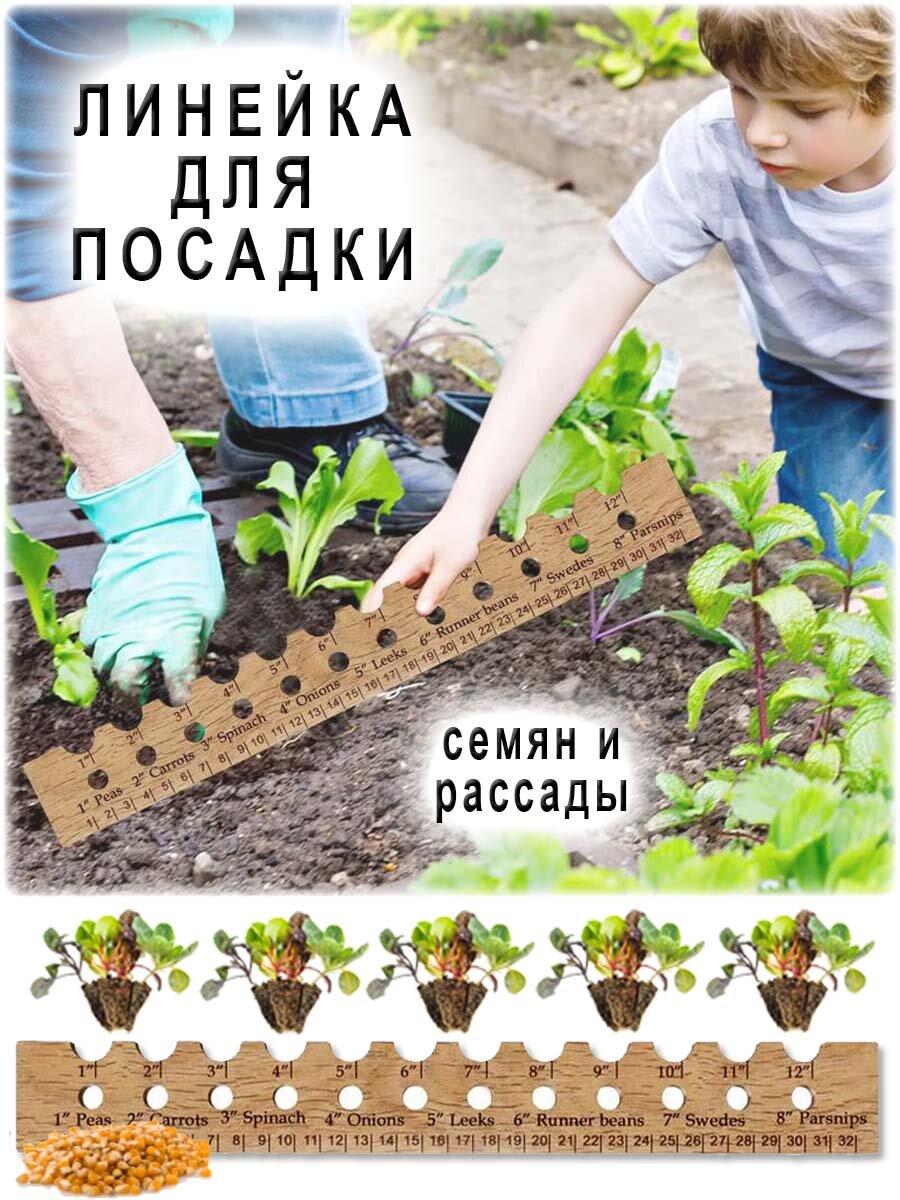 Линейка COMFIAMO для посадки семян и рассады, деревянная, 33х4,5см, светло-коричневая