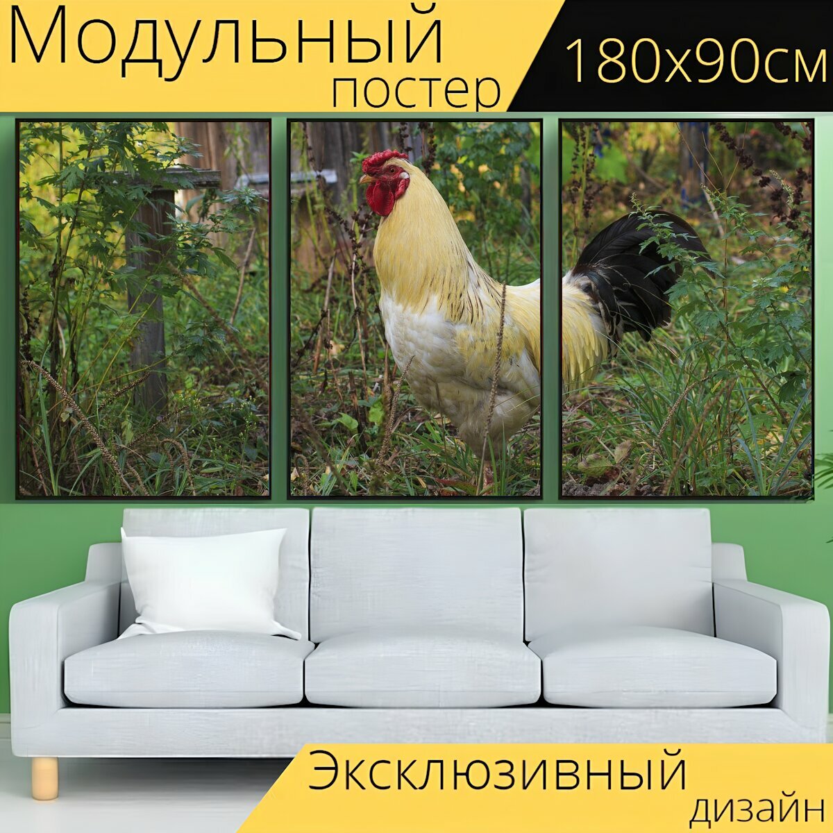 Модульный постер "Петух, курица, птица" 180 x 90 см. для интерьера на стену в тубусе