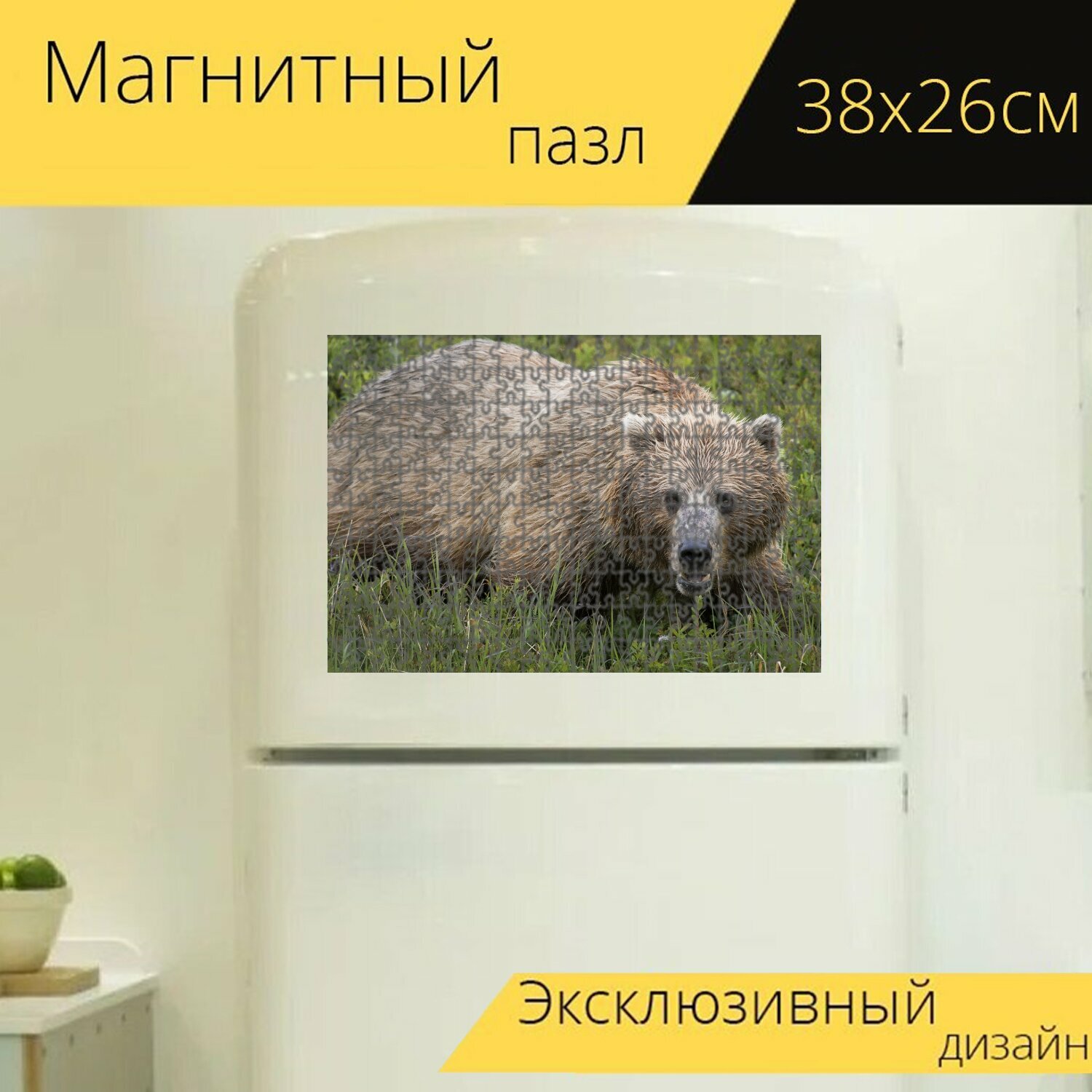 Магнитный пазл "Нести Дикий медведь гризли нести гризли коричневый животное природа млекопитающее живая природа Аляска хищник пушистый большой плотоядное." для интерьера, 38х26 см.