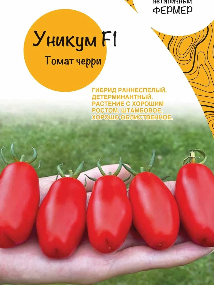 Томат Черри Уникум F1 10 шт, Семена Нетипичный фермер