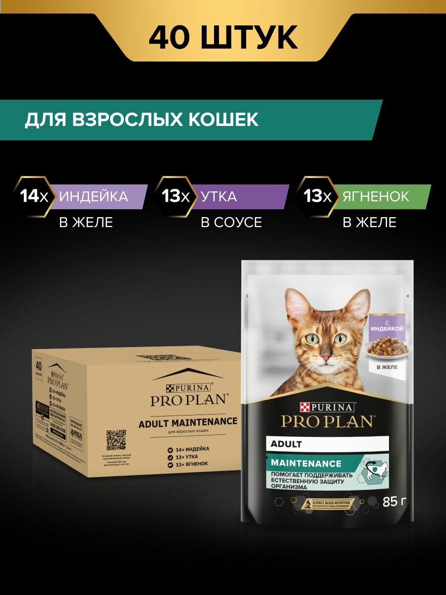 Влажный корм для кошек PRO PLAN, с индейкой в желе, с уткой в соусе, с ягненком в желе, 85 г х 40 шт ассорти 40 штук три вкуса