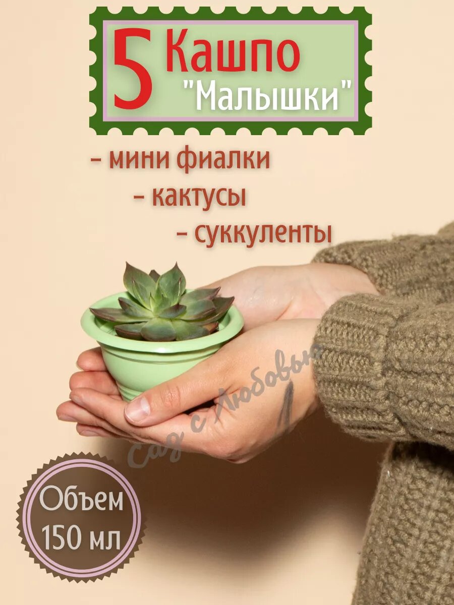 Кашпо для кактусов и фиалок маленькое