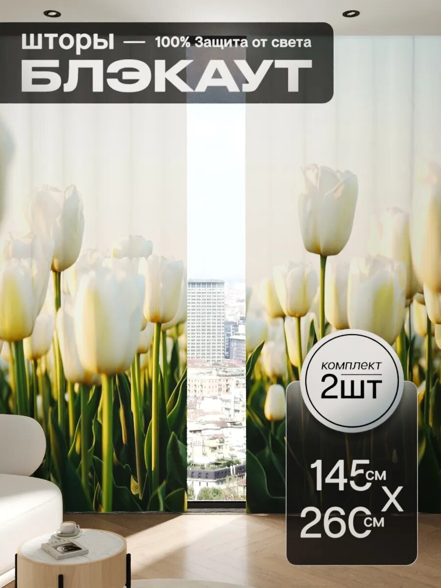 Шторы блэкаут 145x260 см 2 шт на окна плотные комплект