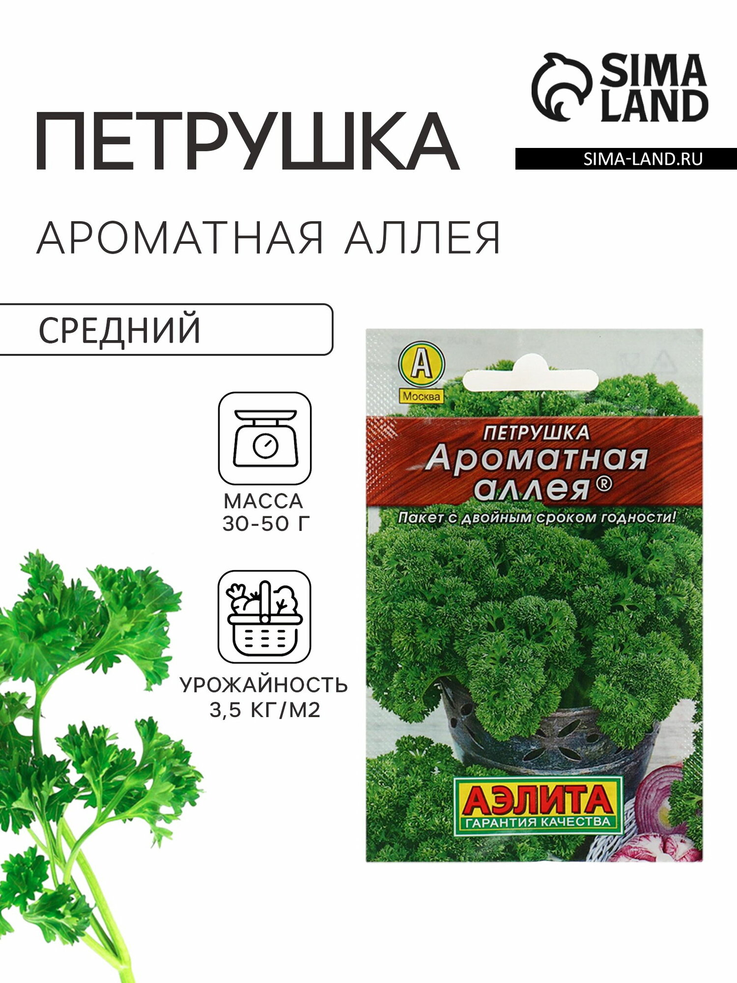 Семена Петрушка кудрявая "Ароматная аллея", 2 г, "Аэлита", посев (посадка) в грунт: апрель, 3 шт.