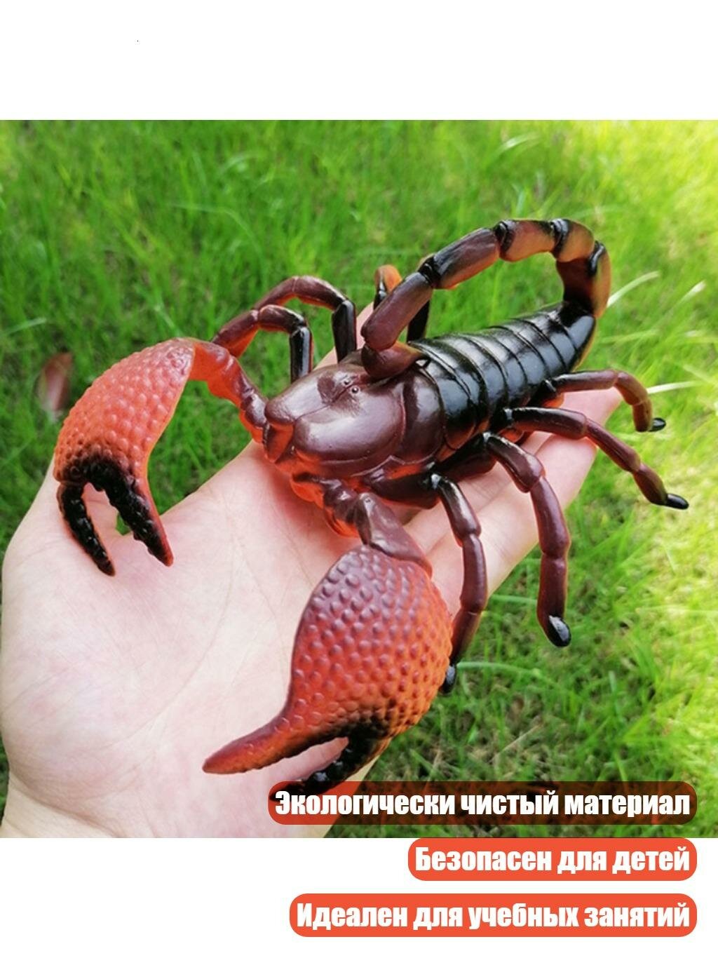 Реалистичная модель паука, 02