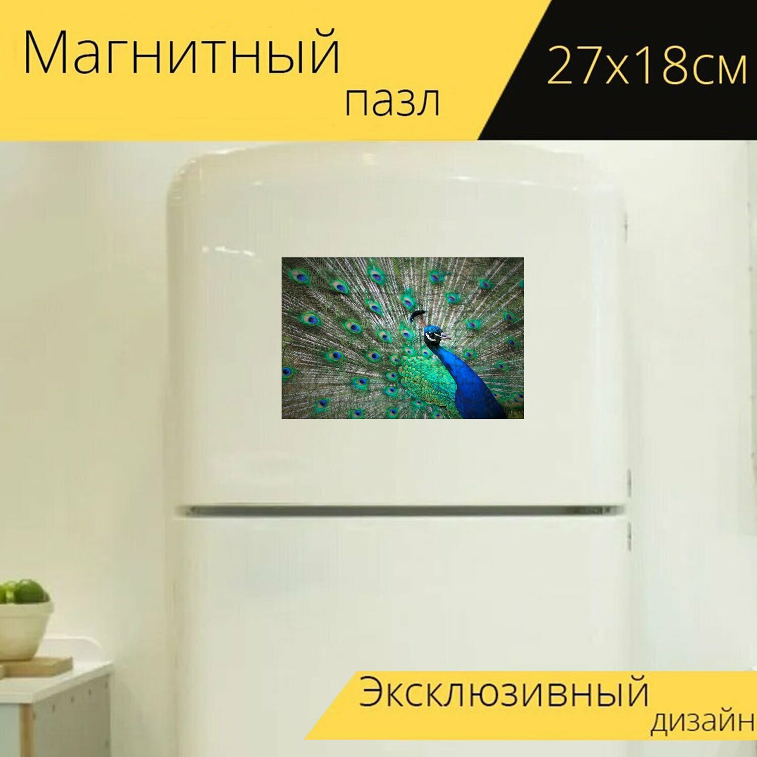 Магнитный пазл "Павлин, синий, перья" на холодильник 27 x 18 см.