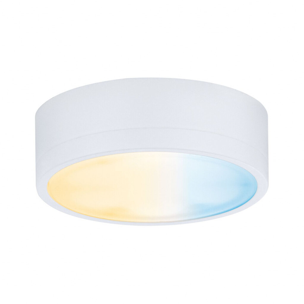 Мебельный накладной светильник Paulmann Clever Connect Medal LED 2Вт 2700-6500K 12В Белый 99954