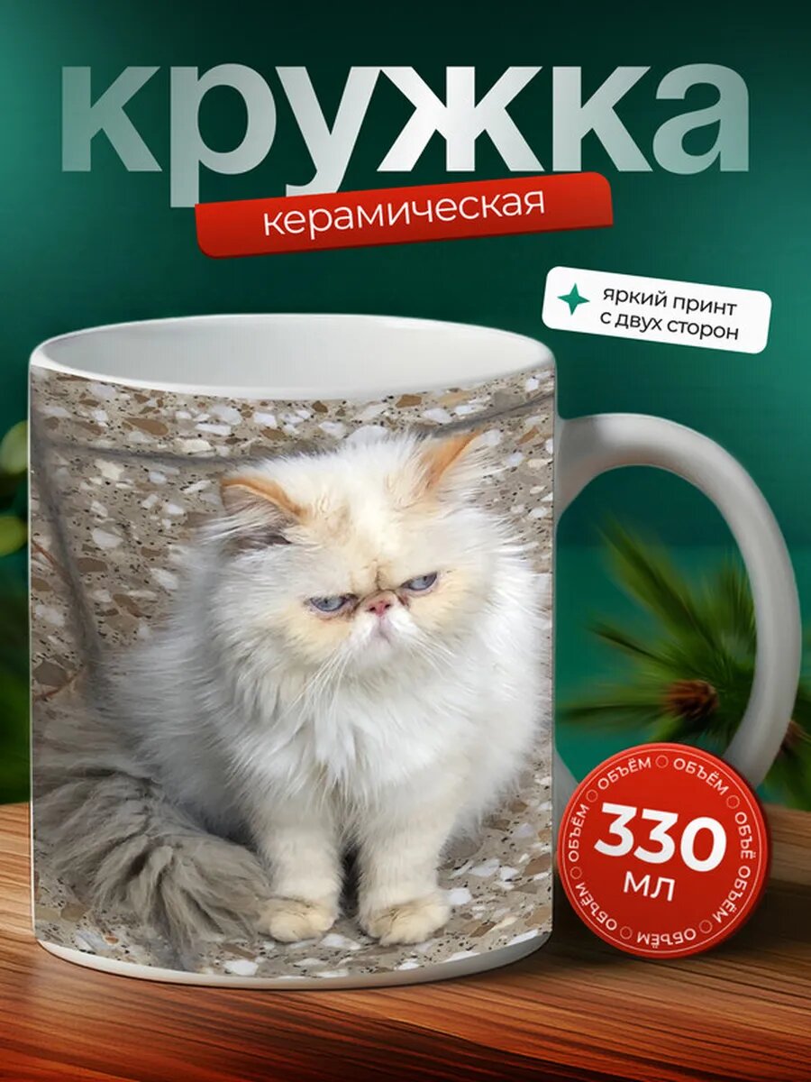 Кружка Иранский персидский кот 6,