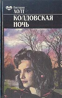 Колдовская ночь. Роман