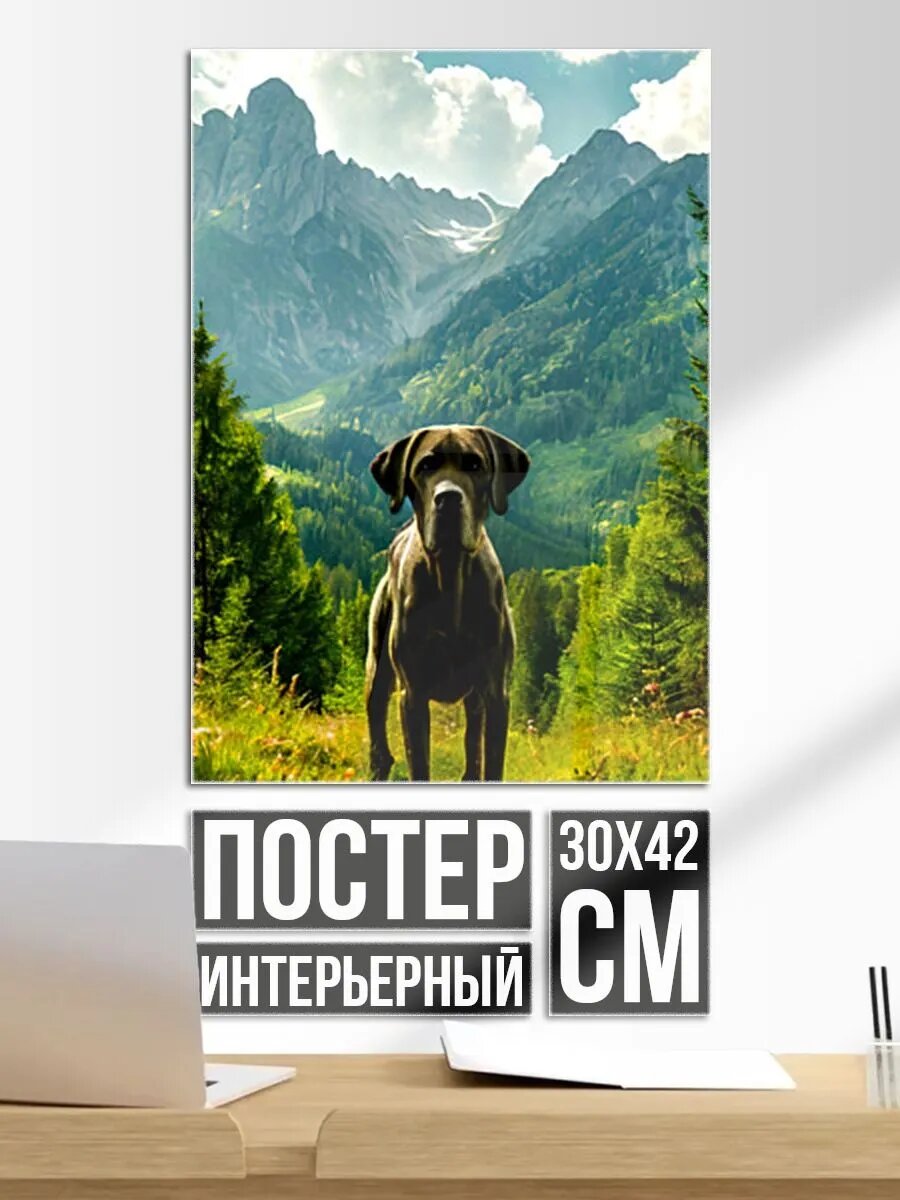 Постер на стену Немецкий дог в летних горах