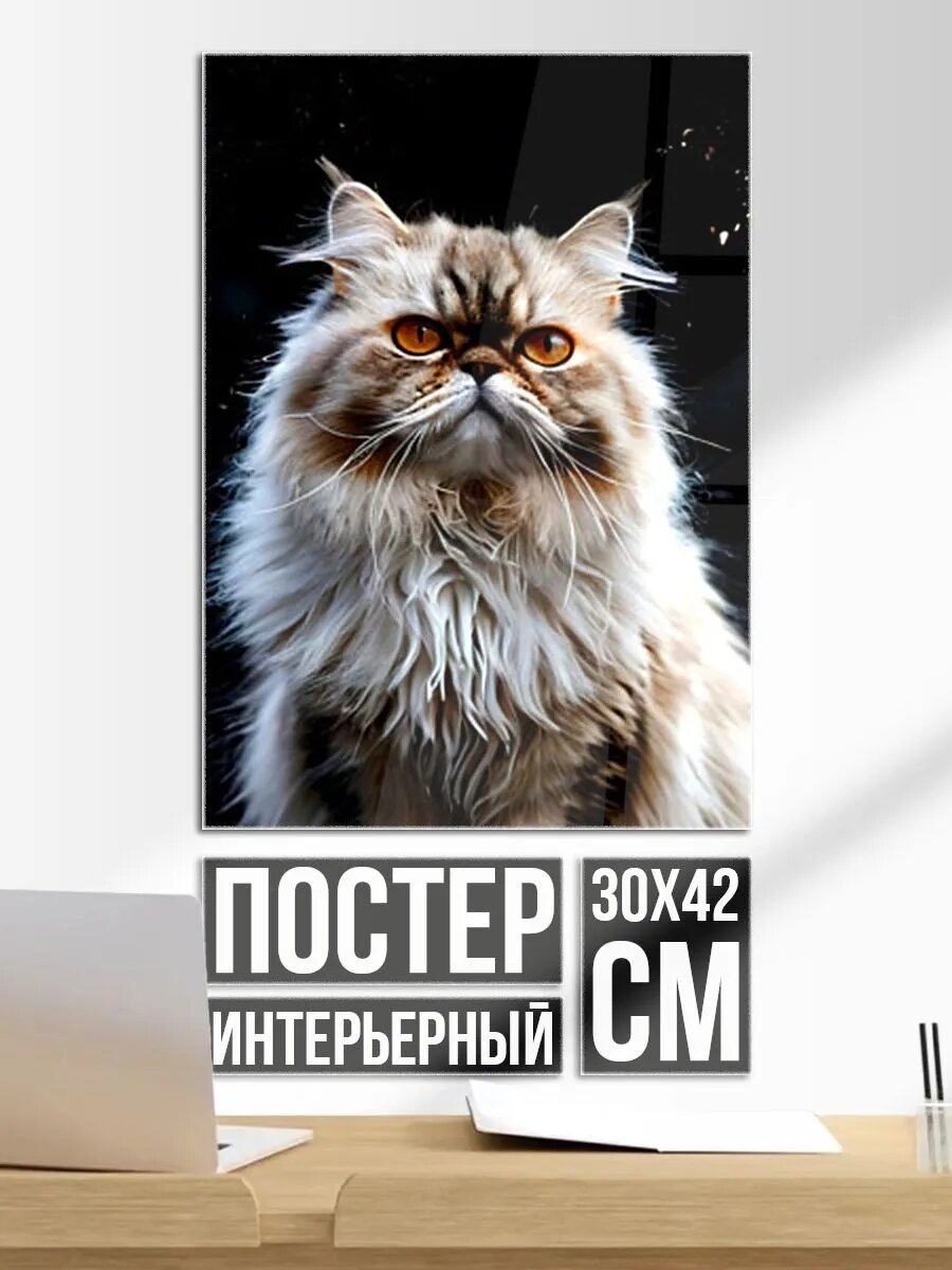 Постер на стену Персидская кошка на черном