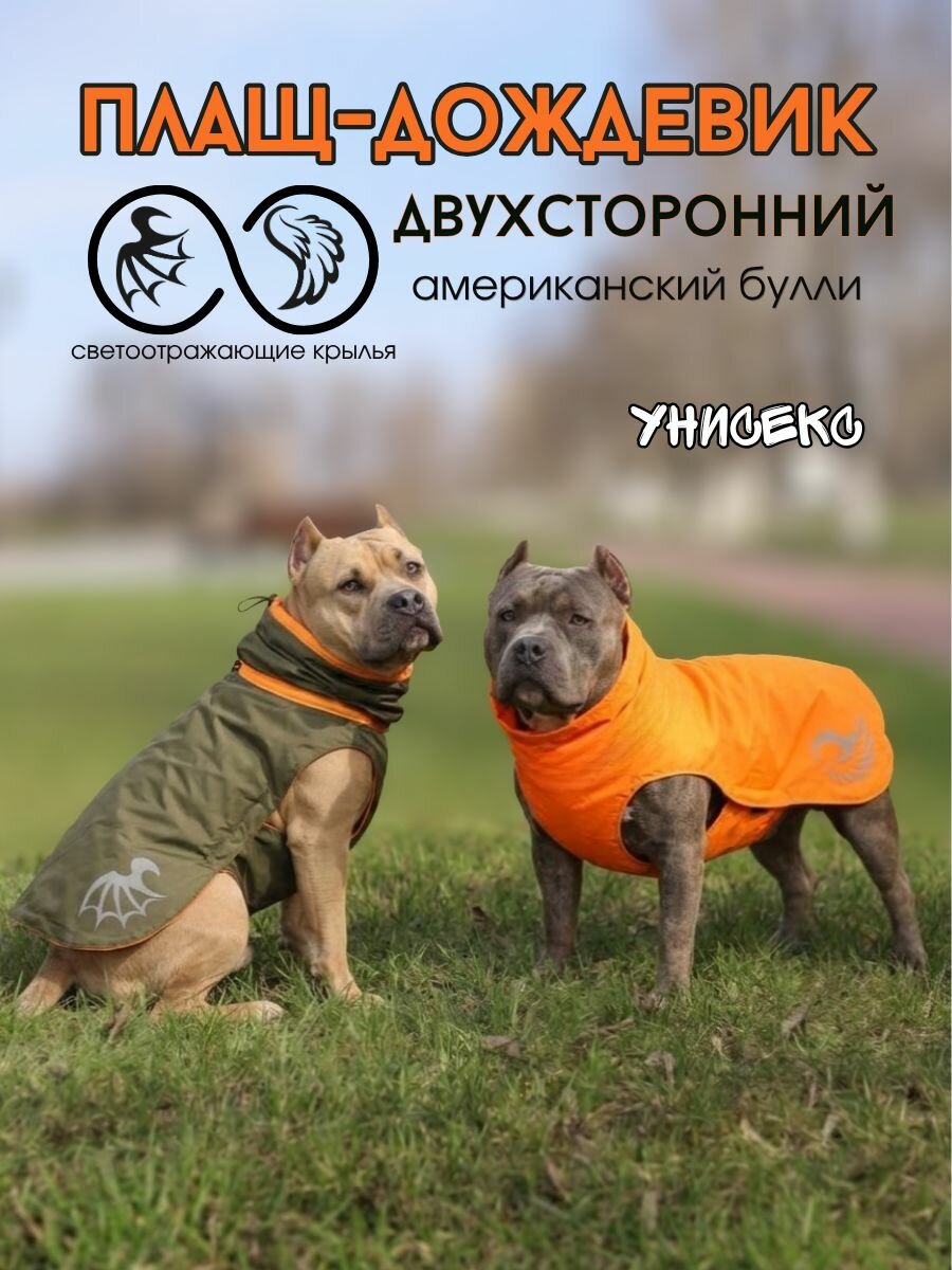 Попона-дождевик для собак амбулли/англ. бульдог, размер XL, хаки+оранжевый