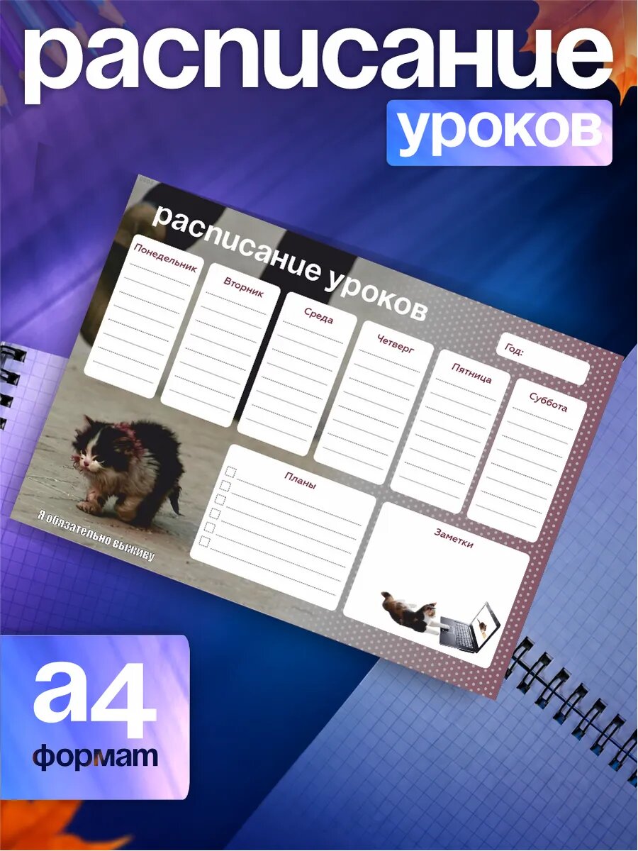 Расписание уроков канцелярия Мем Котик
