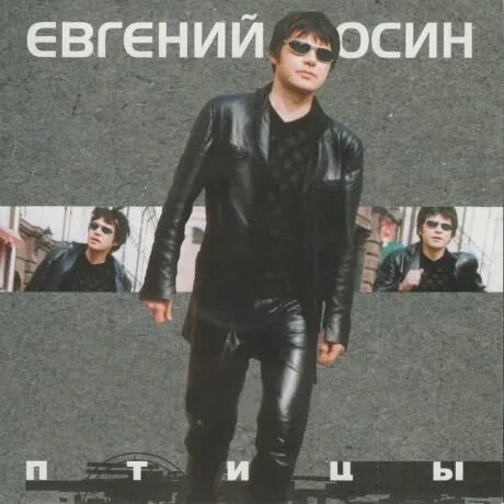 Виниловая пластинка Евгений Осин Птицы