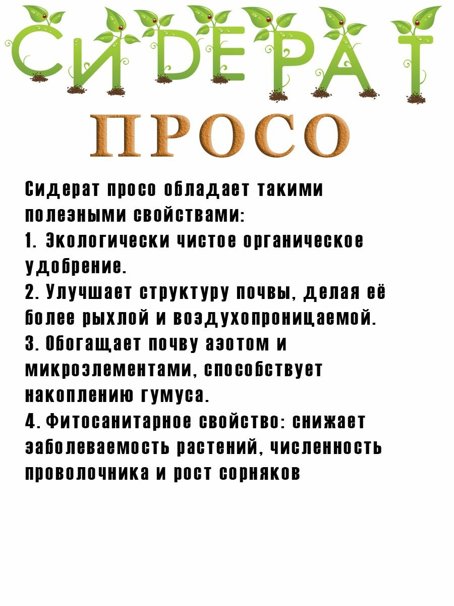 Сидерат Просо — фото 1