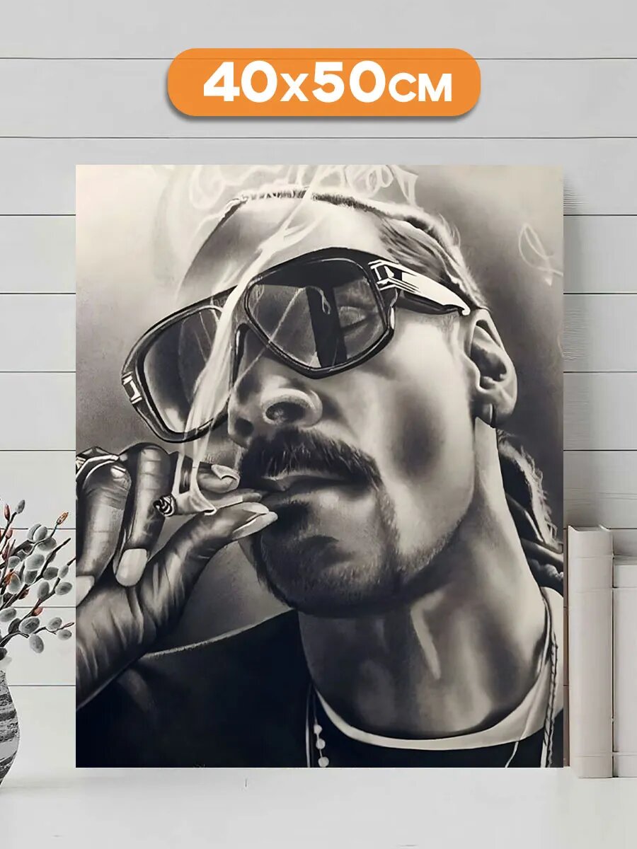 Картина на стену для дома Snoop Dogg Снуп Дог 40х50 см
