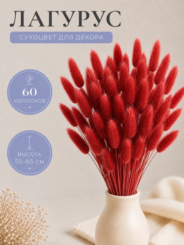 Лагурус сухоцвет для декора зайцехвост