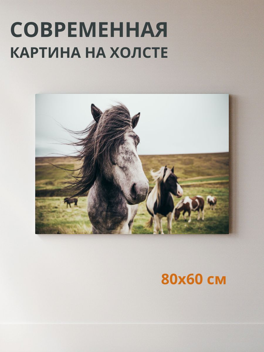 Картина на холсте Лошади на ферме 80x60 см