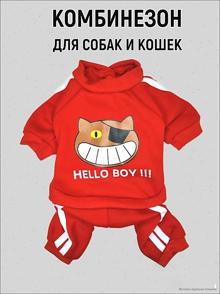 Костюм для собак и кошек Котик. Размер M. Длина спины 25-29 см. Комбинезон-пыльник