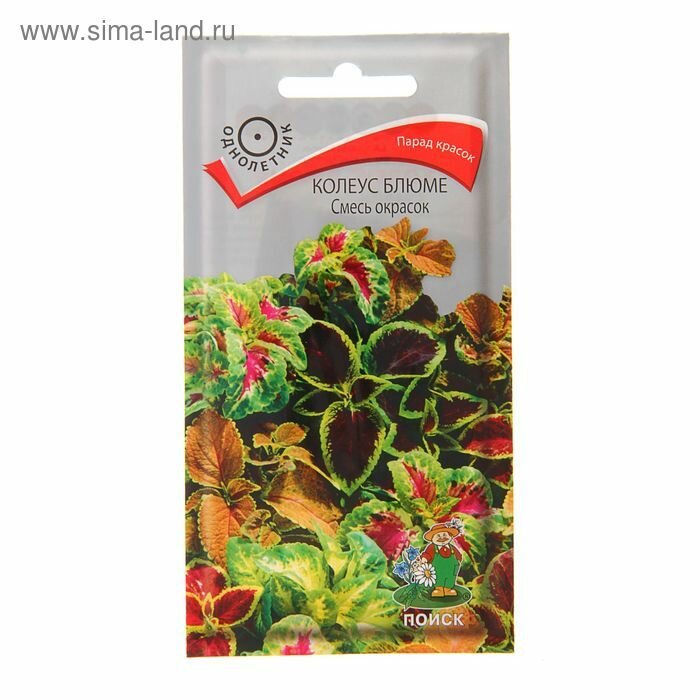 Семена цветов Колеус Блюме Смесь окрасок . 0,1 г. Поиск.