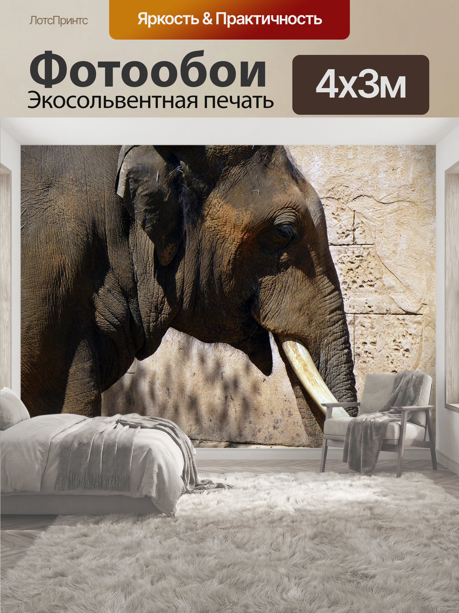 Фотообои "Слон, голова слона, ствол" 400x300 см. экосольвентная печать