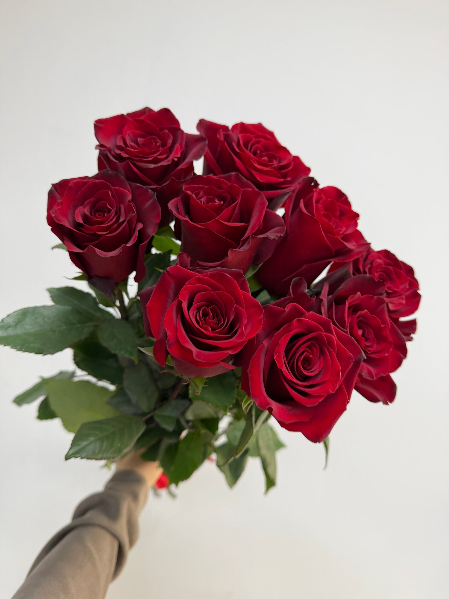 Моно букет из 9 красных роз Эксплорер 70 см под ленту