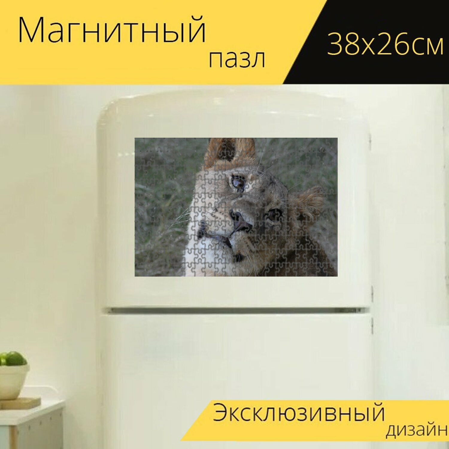 Магнитный пазл "Лев, львица, дикий" для интерьера, 38х26 см.