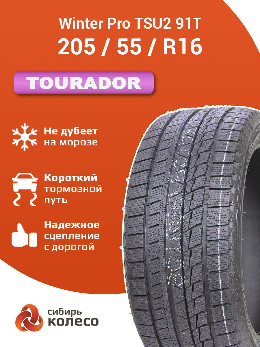 205/55R16 Tourador Winter Pro TSU2 91T