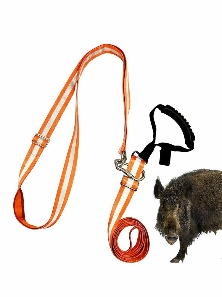 Повод для лошади